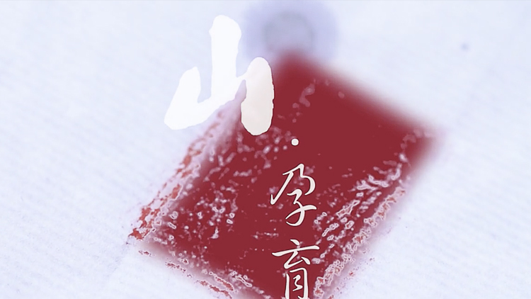 北京林业大学 宣传片