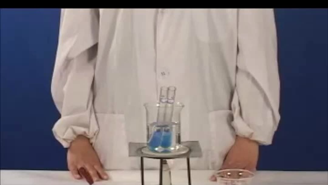 高中生物实验11探索淀粉酶对淀粉和蔗糖水解的作用