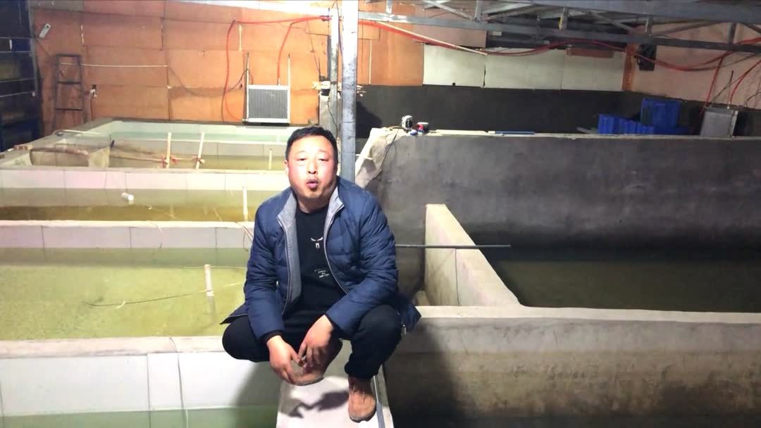 这种养殖业占地不大,在家里就能饲养,利润是传统养殖的许多倍