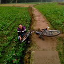 吃素的沙漠小野狼 