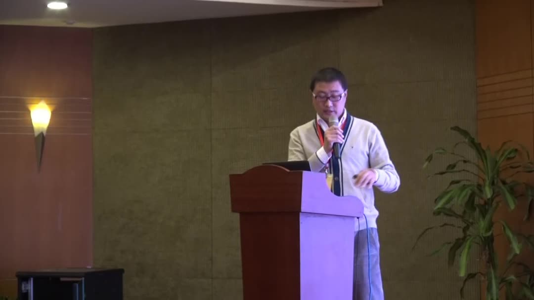 二氧化硅合成、分散及其在橡胶中的应用 华东理工大学教授胡彦杰