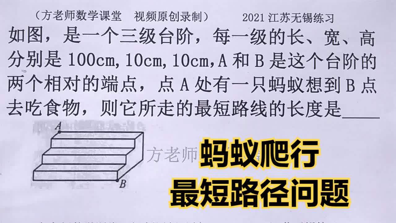 八年级数学:蚂蚁怎么爬路线最短?怎么求它的长度?勾股定理常考