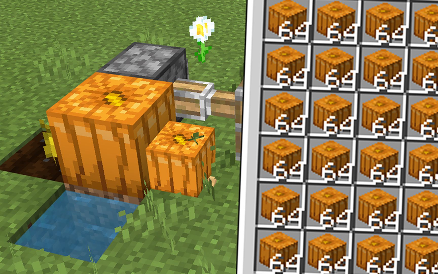 我的世界生存攻略17:全自动南瓜机!让生存变得更加简单