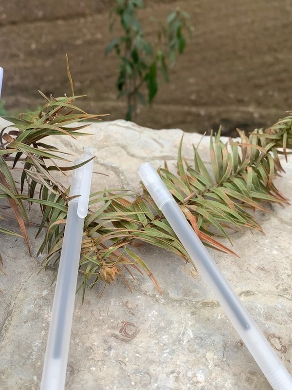 超级喜欢写起来不会断墨的笔