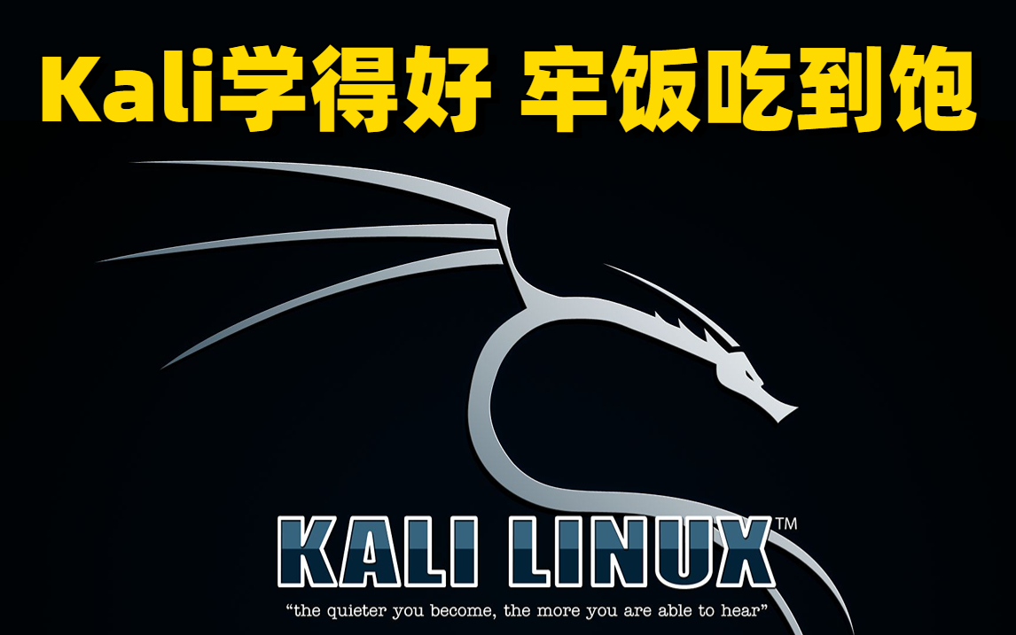 ...Linux精品全套实战教程完整版,学不会你来打我! kali Linux | kali 渗透 | ...