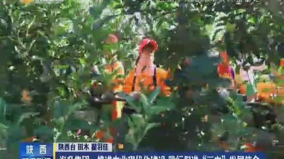 海升集团:推进农业现代化建设 践行促进“三农”发展使命