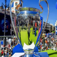 导师说体育牛牛牛 