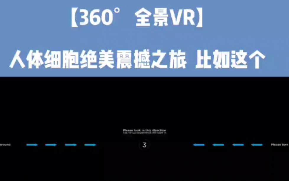 人体细胞绝美震撼之旅