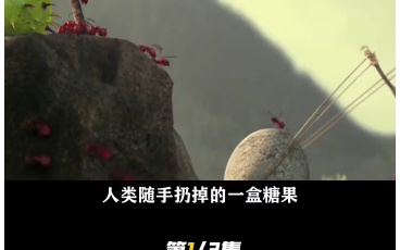 动物总动员#一盒糖果引起的史诗大战