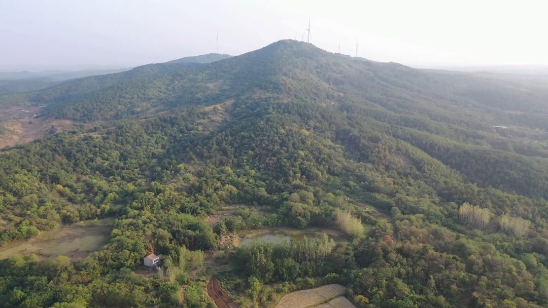 湖北顶级风水宝地,王君植带弟子寻龙点穴,航拍我们一起欣赏视频