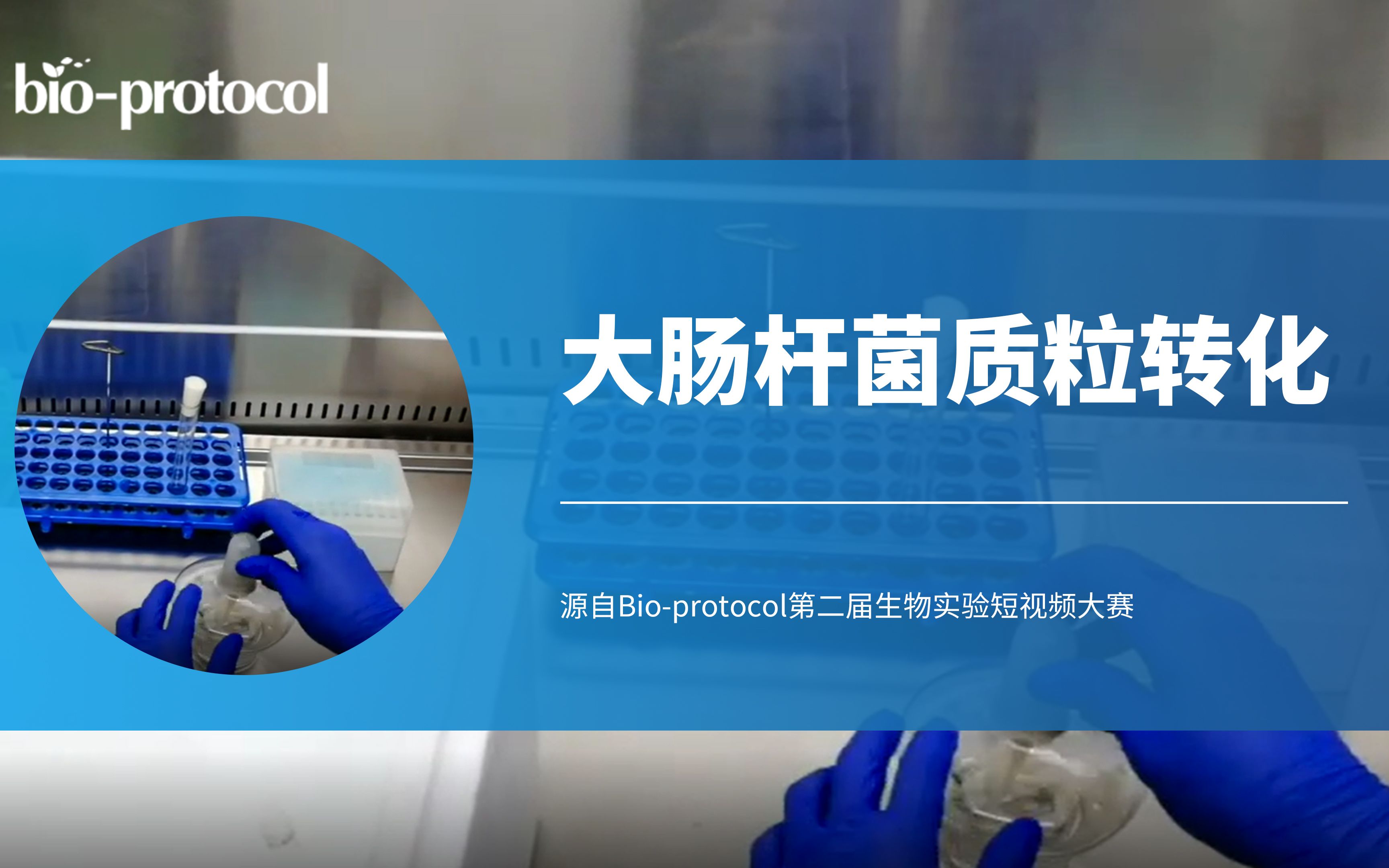 【Bio-protocol】大肠杆菌质粒转化实验