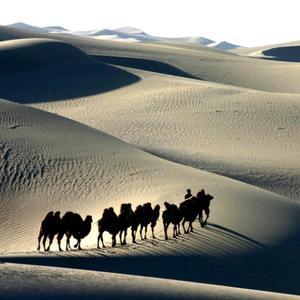 天ߑ�ߒ�过那片海 