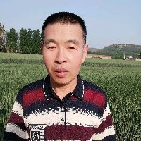 农村老于 