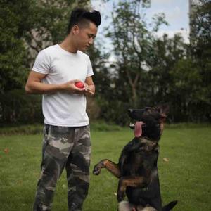 上海小叮当训犬学堂 