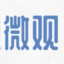 企业微观 