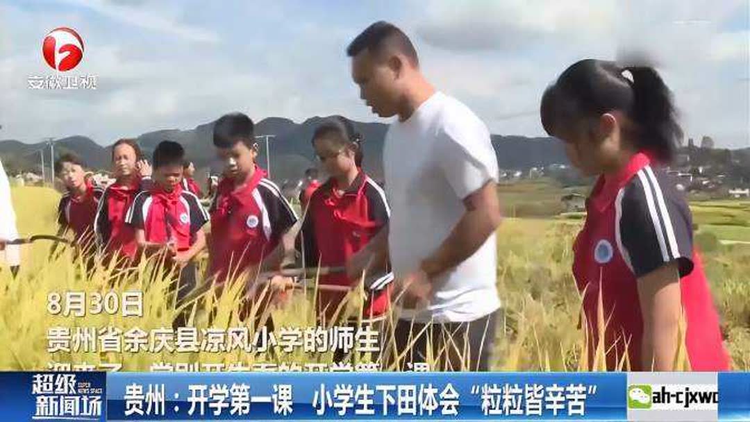 贵州:开学第一课,小学生下田体会"粒粒皆辛苦"