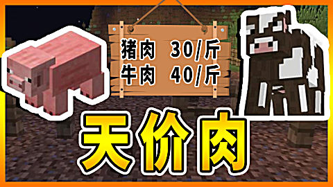 我的世界国家建设44:肉类涨价,小镇自己建设免费肉厂!
