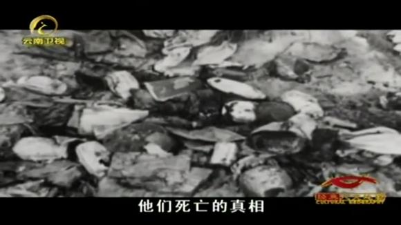 卡廷惨案:德军无意发现惨案现场,2万多名波兰人惨死在森林中