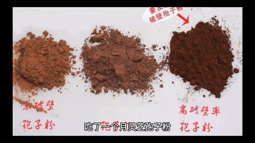 灵芝孢子粉到底是养生好物还是“慢性毒药”?