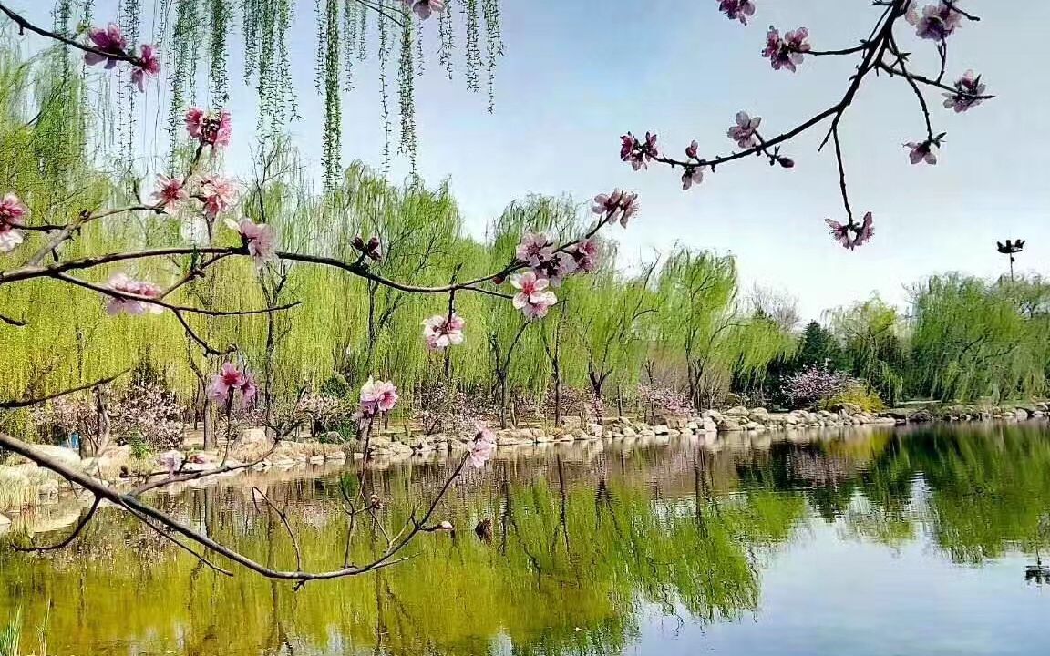 [公开课]物流十二讲:从系统性到复杂性