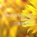 爱学习的小彬刘 