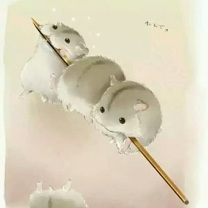 BleuKiky 
