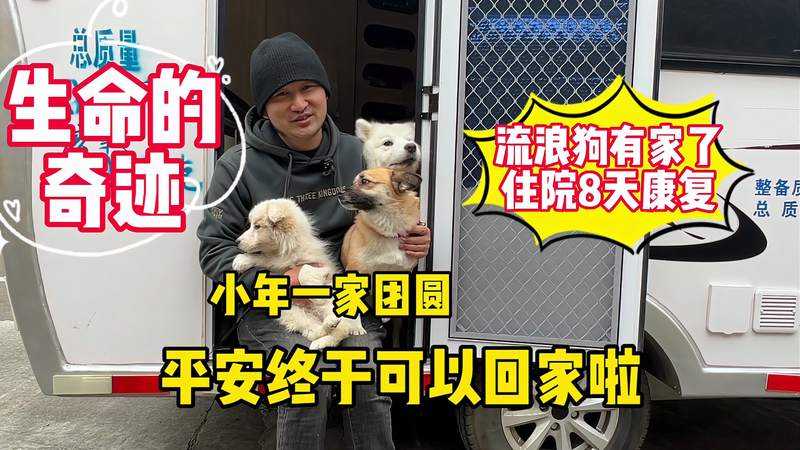 被人抛弃的病狗住院治疗第9天终于回家啦,一人四狗大团圆了