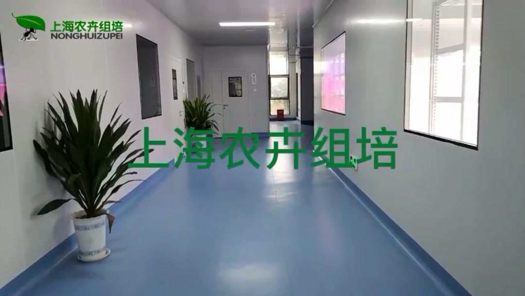组培实验室 组培室设计方案 组培室建设方案