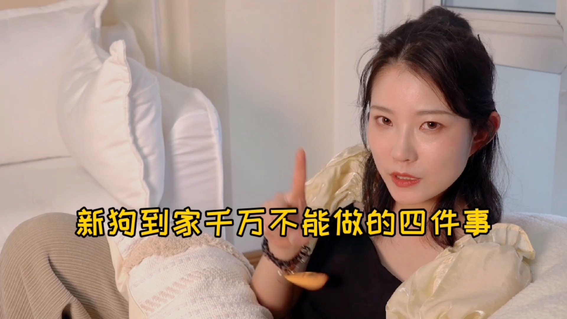 新买的狗狗到家千万不要做得四件事谁做谁后悔