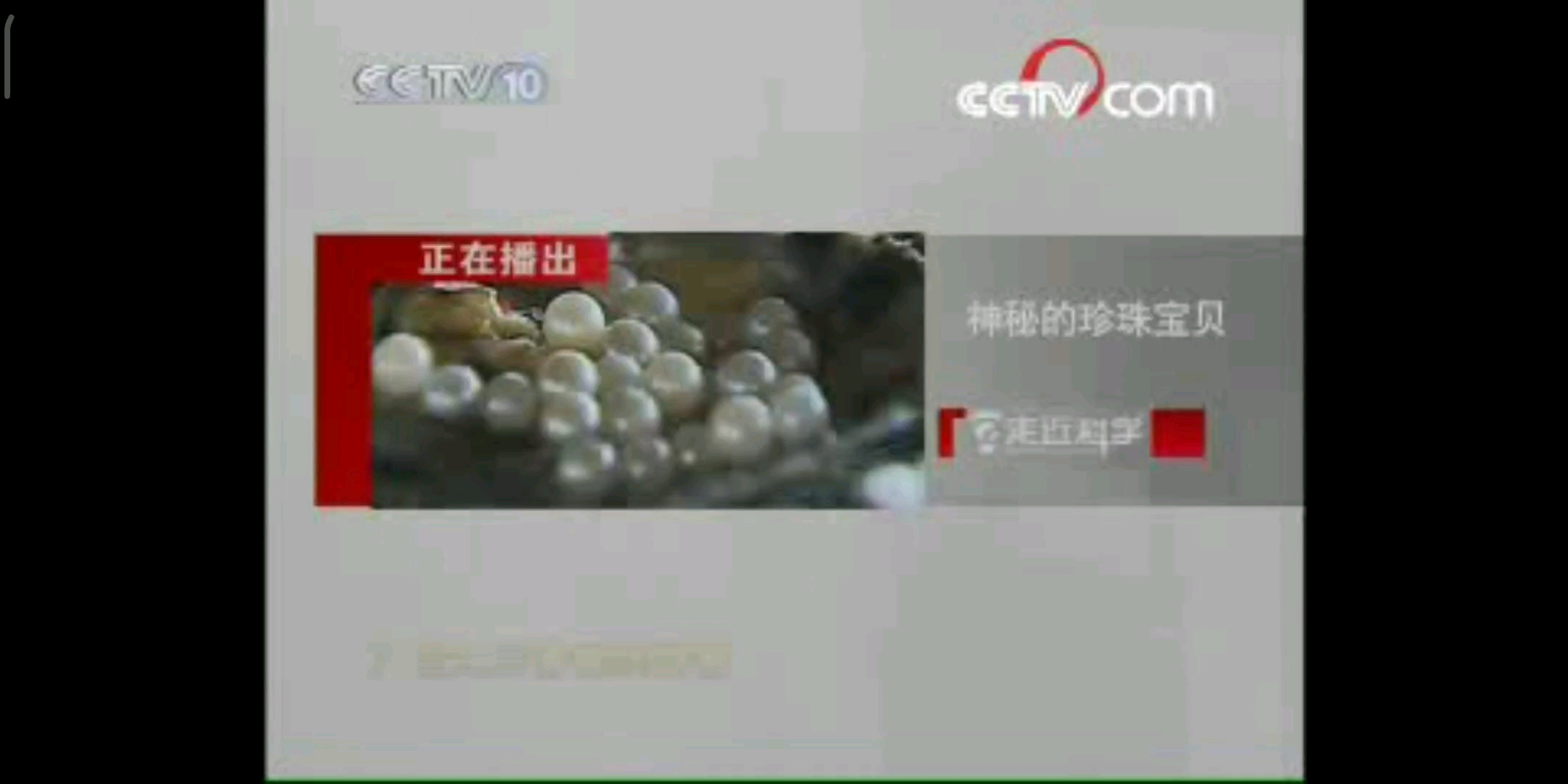 珍珠产崽之谜宣传片