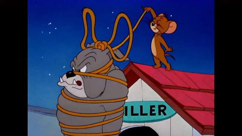 猫和老鼠:猫追着老鼠跑,躲在了狗的后面,后来猫被狗追赶