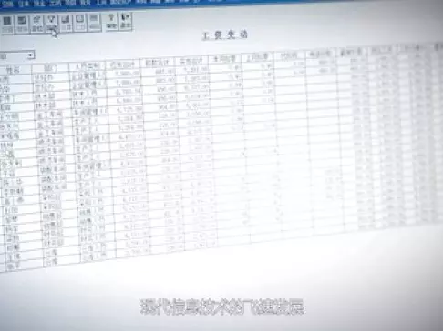 中华会计网校2017年会计从业《会计电算化》移动班课程