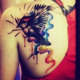 迎春花121479044619539962 