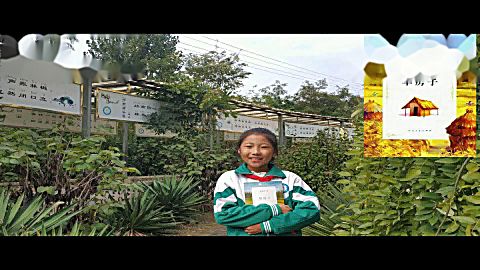 推荐一本好书《草房子》