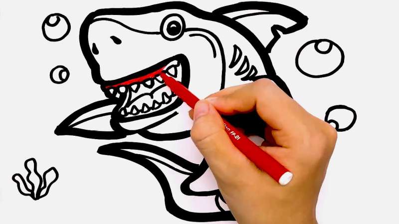 大家觉得我这个鲨鱼简笔画画的怎么样呢?你也动手试试吧
