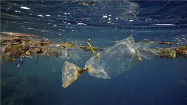海洋污染到底有多严重?看看科学家在海底拍到的画面就知道了