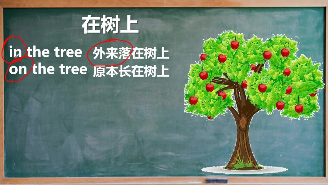 in the tree和on the tree 的区别
