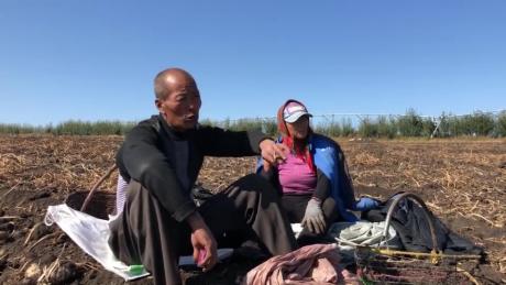 黑龙江绥化大哥在内蒙古捡土豆,工钱当天给,一天挣多钱