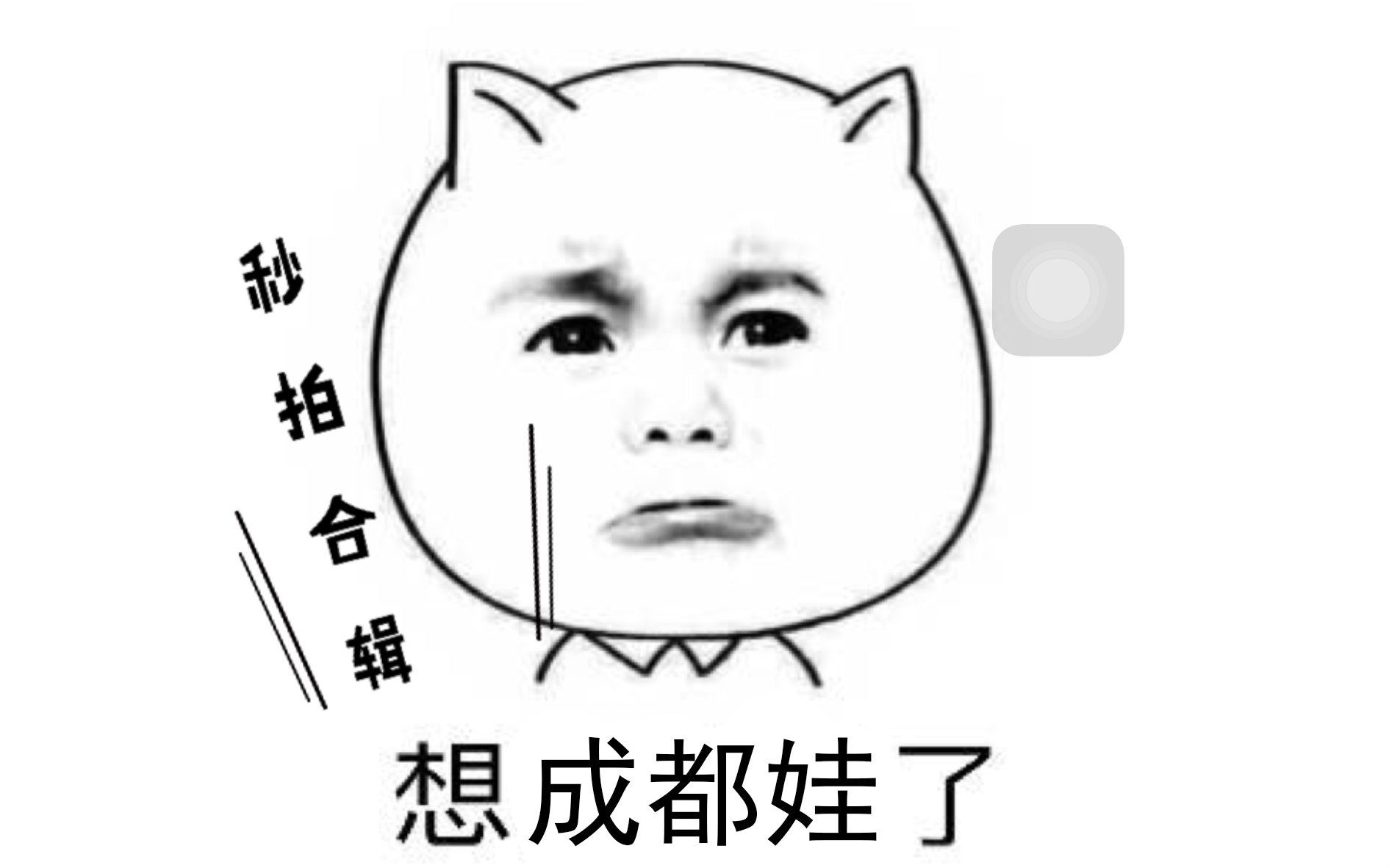 【TF家族练习生成都分部】微博秒拍合集(持续更新.)