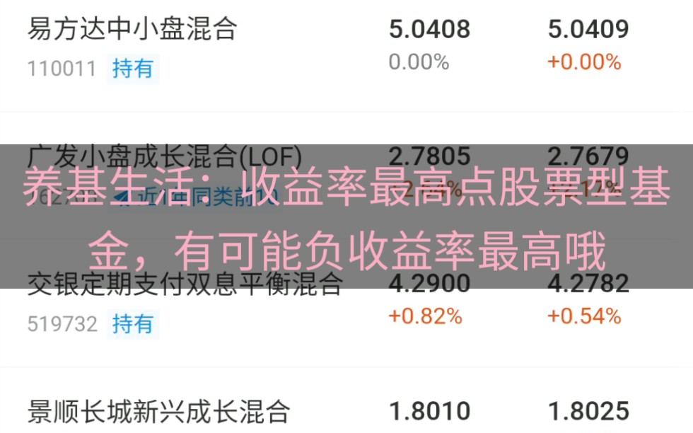养基生活:收益率最高点股票型基金,有可能负收益率最高哦