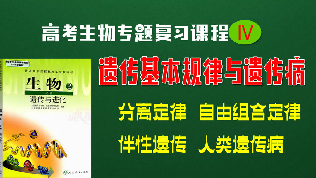 10501 基因分离定律模拟题目解析