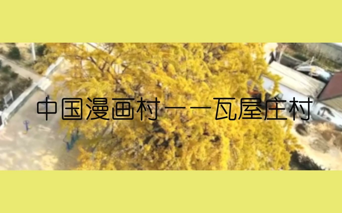 品牌管理小组作业——【中国漫画村】瓦屋庄村