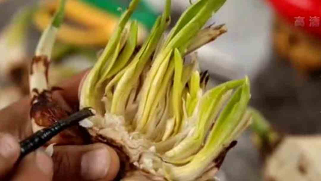 手艺人生 上海字模一厂