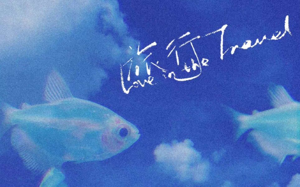 【TF家族三代】伪MV 旅行 love in the Travel 原创苏新皓左航