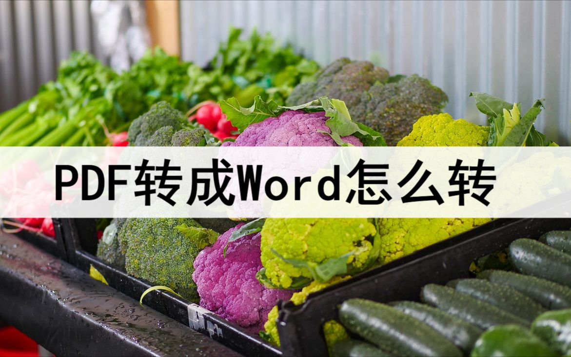 PDF转成Word怎么转?这个方法好用极了