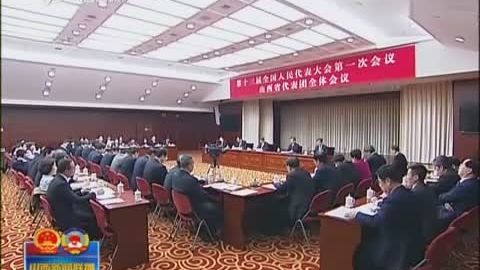 山西代表团举行全团会议 审议国务院机构改革方案