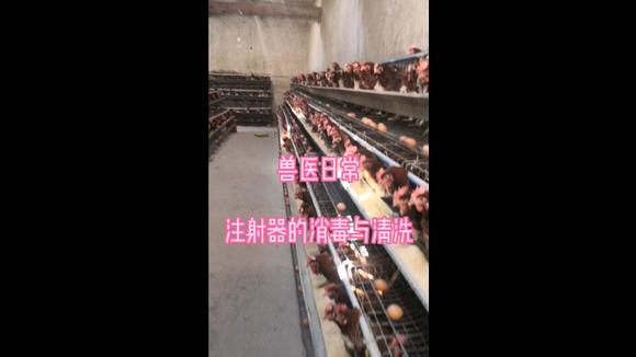 注射器的消毒与清洗