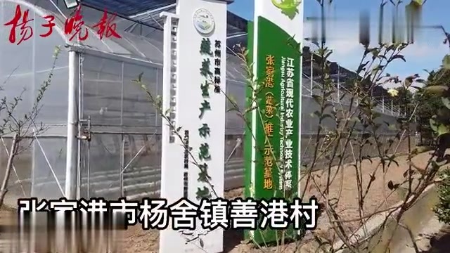 e路同行智惠江苏"数字乡村"篇|【视频】打造现代农业示范样板!"想吃高...