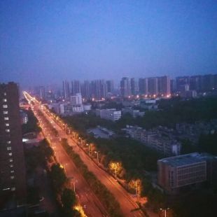 龙健搏 