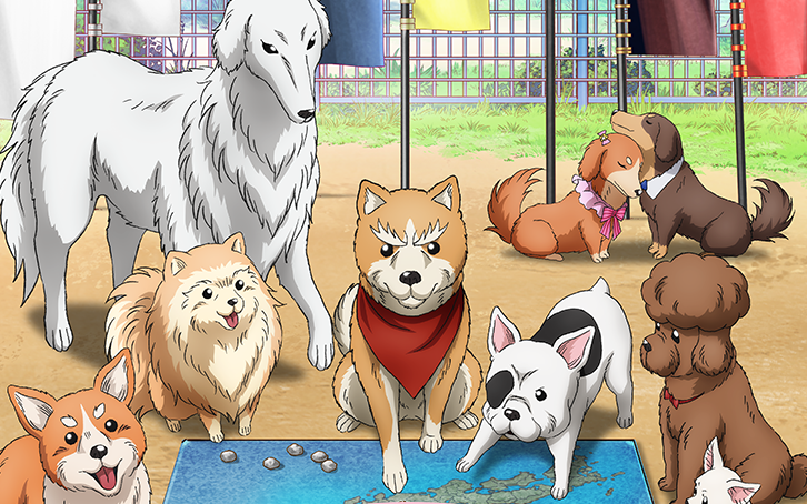 【2020年1月】织田肉桂信长 正式PV【F宅/1080P+】